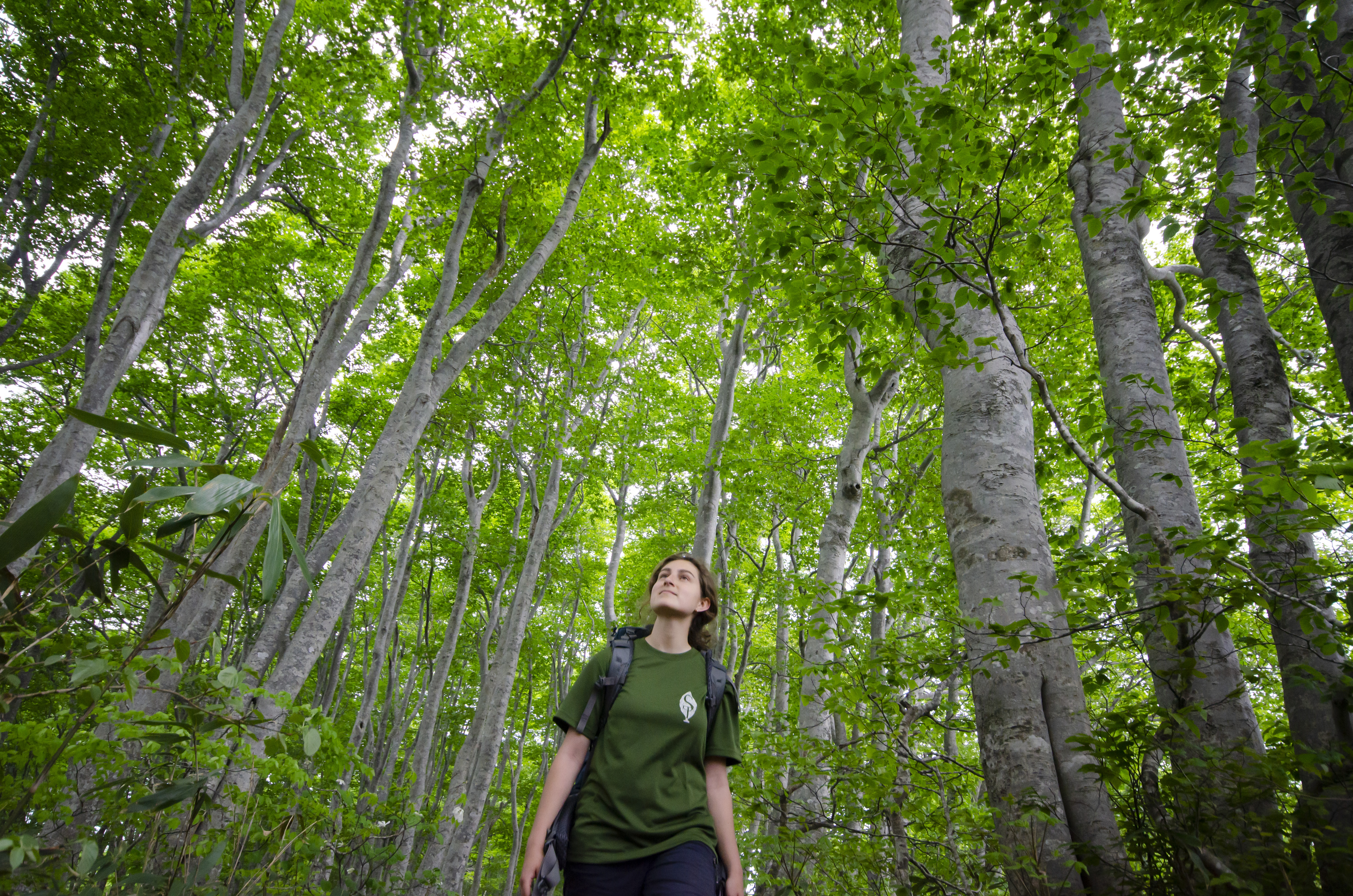 Hiking the Japanese first long trail, Shin-etsu Trail (Section 5 ...